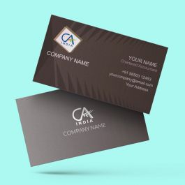 Luxury Chartered Accountant Visiting Card – Premium Look